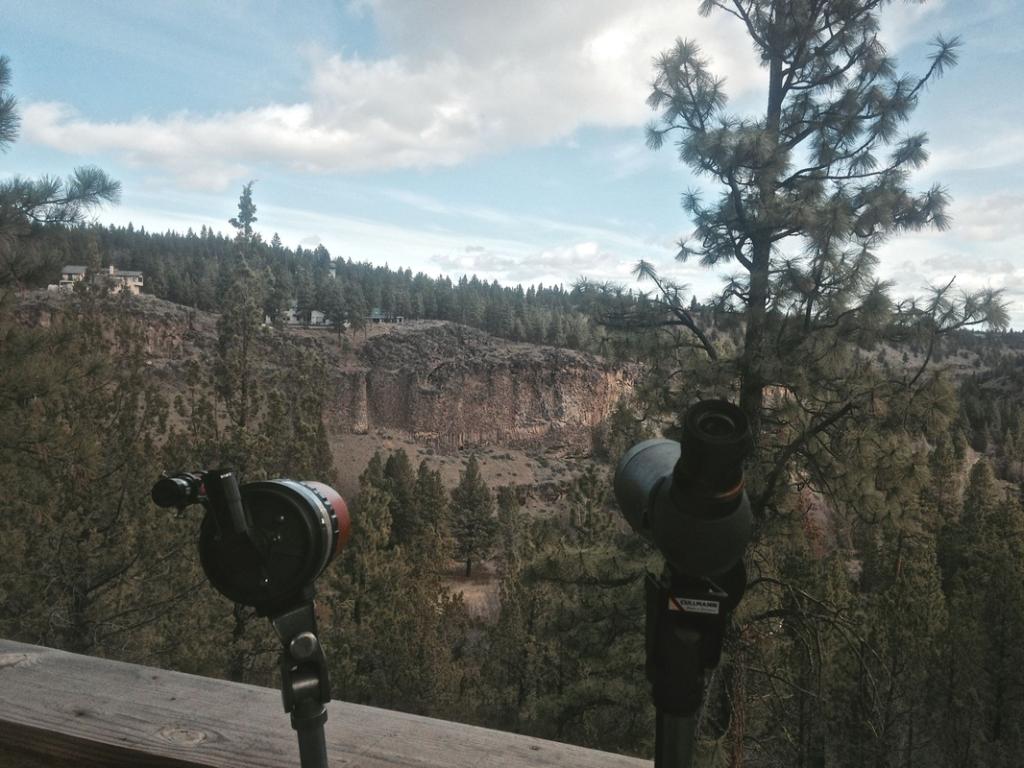 About the Golden Eagle Camera, FAQ, Donate - East Cascades Bird Alliance